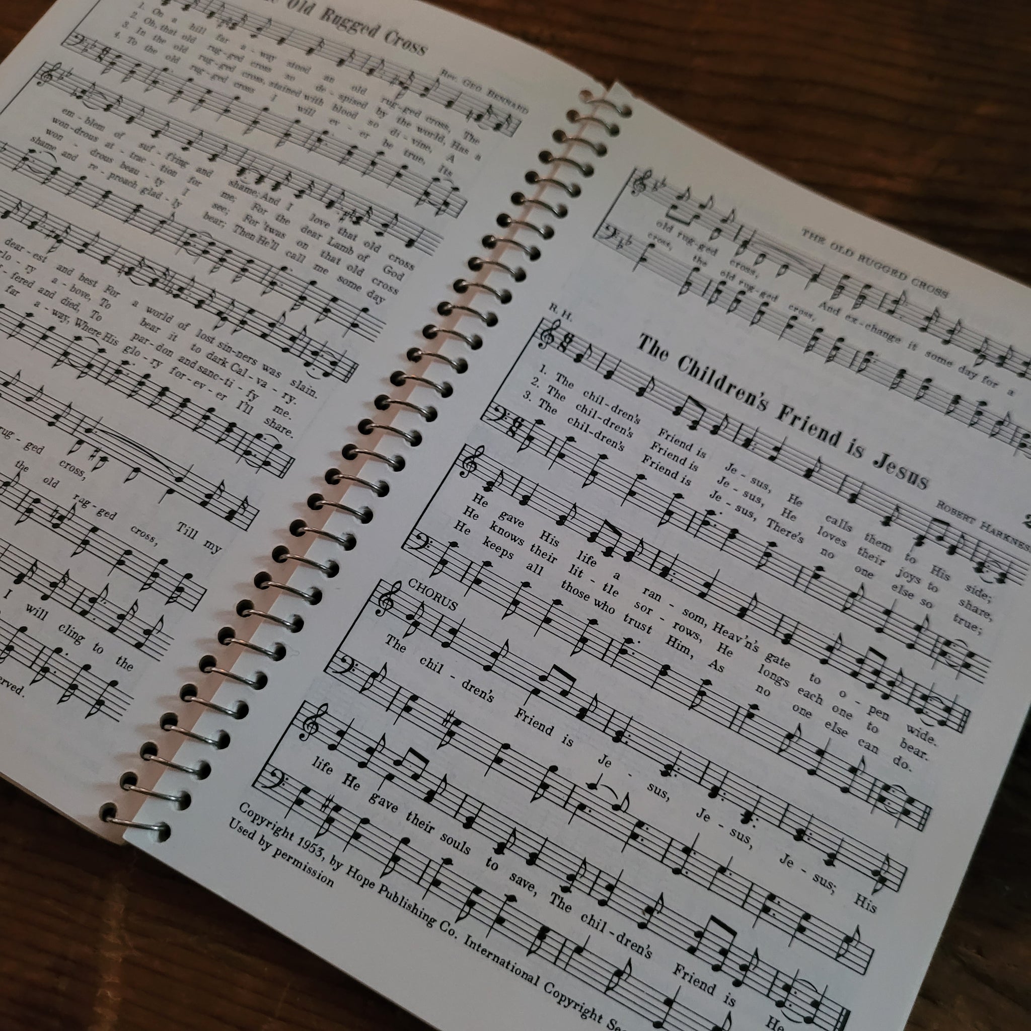 Sunday School Praise Book – The Vintage Daisy